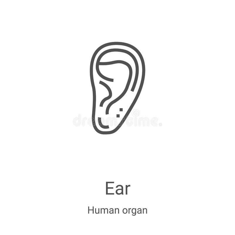 Ear Icon Vector from Human Organ Collection. Thin Line Ear Outline Icon ...