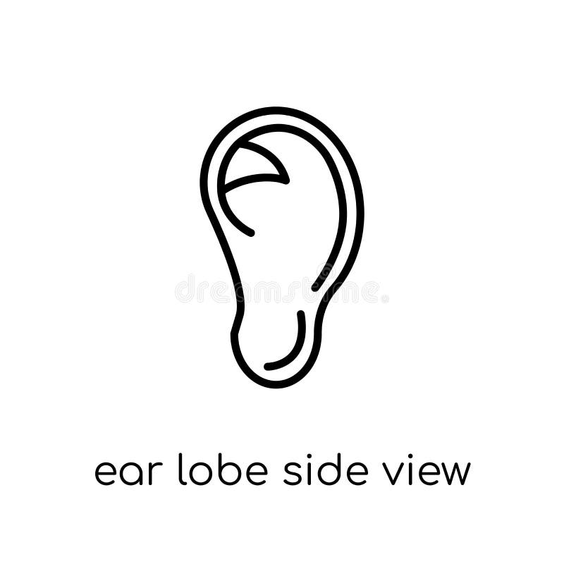 Linear Ear Lobe Side View Icon from Human Body Parts Outline Collection ...