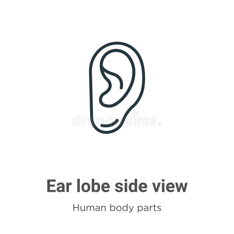 Ear Lobe Side View Outline Icon. Isolated Line Vector Illustration from ...