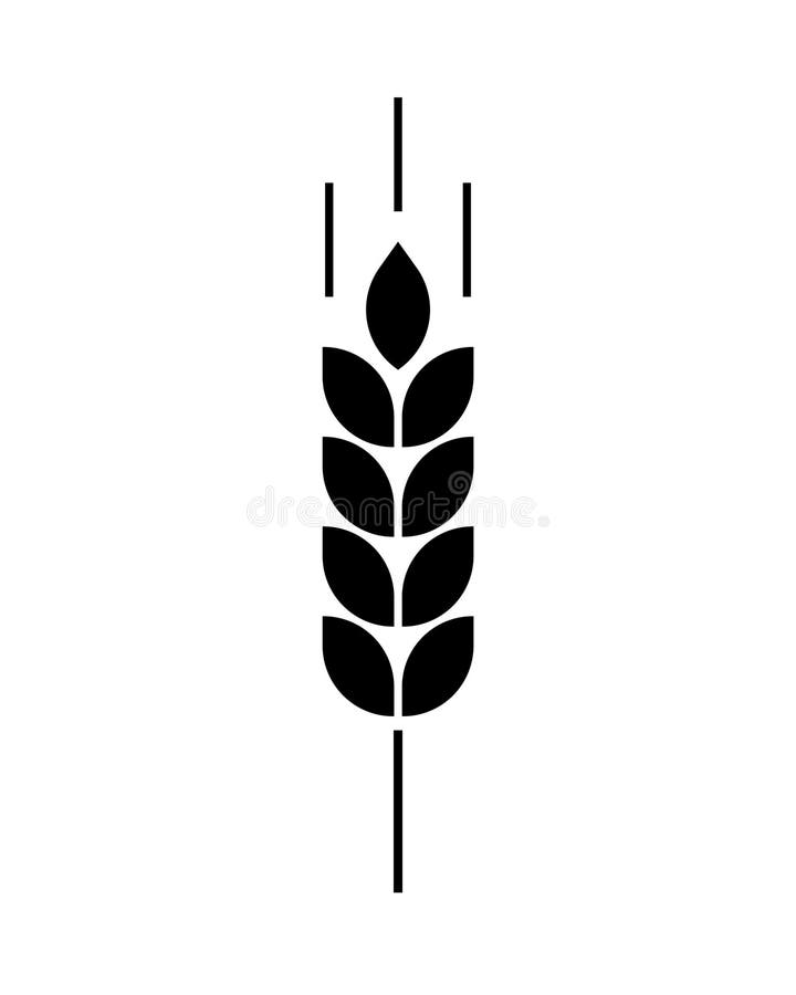 Ear of Malt, Wheat. Black Simple Icon Isolated on White Background ...