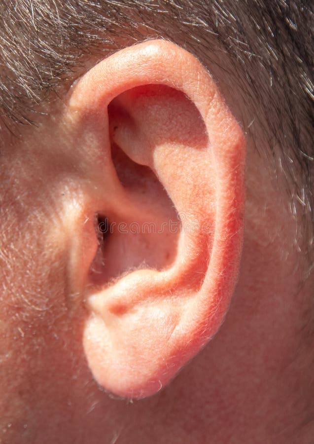 The ear of a man. stock photo. Image of deaf, exam, body - 251101422