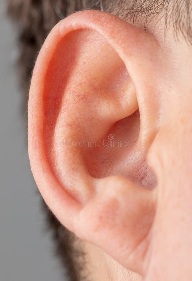 The ear of a man. stock photo. Image of young, hear - 275645434