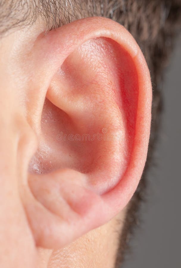 The Ear of a Man. Close-up. Stock Photo - Image of care, technology ...