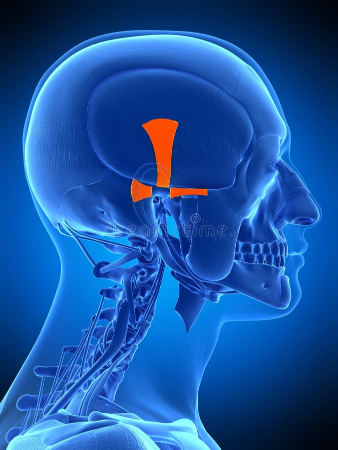 Abstract Layers stock vector. Illustration of stamp - 101174523