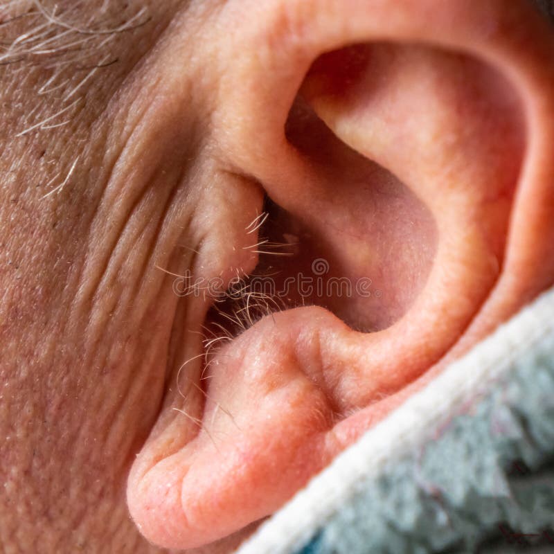 Ear of an old man stock image. Image of elderly, hear - 140470825