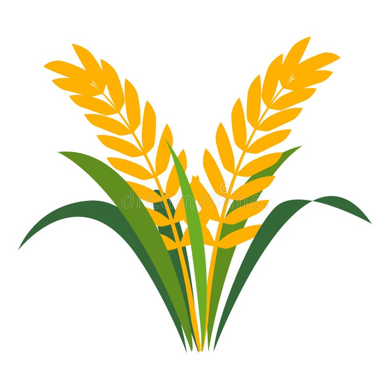 Ear of Paddy Rice Isolated on White Background. Icon Vector Stock ...