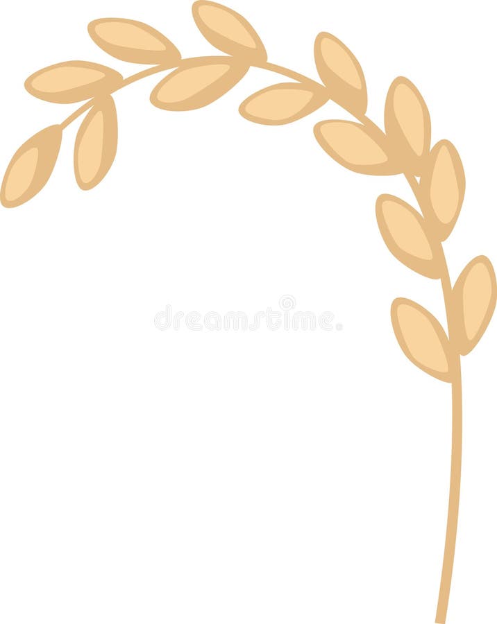 Ear of Rice stock vector. Illustration of paddy, crop - 284454303