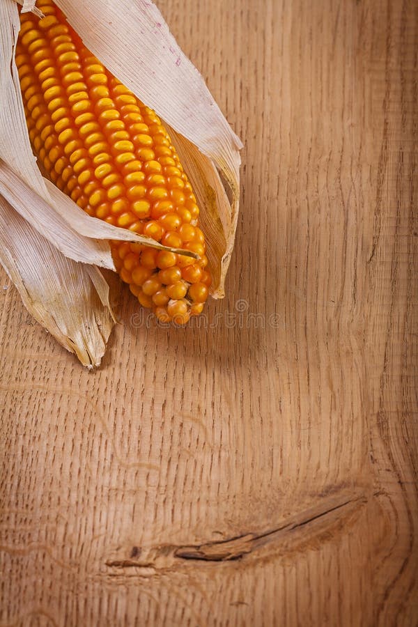 Ear of Ripe Corn on Wooden Board Very Close Up Stock Photo - Image of ...