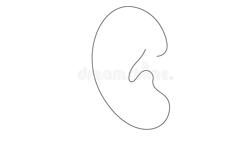 Ear Self Drawing Animation with Single Continuous Line. Concept of ...