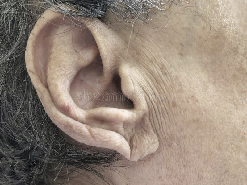 Ear of a senior person stock photo. Image of deaf, closeup - 150578242