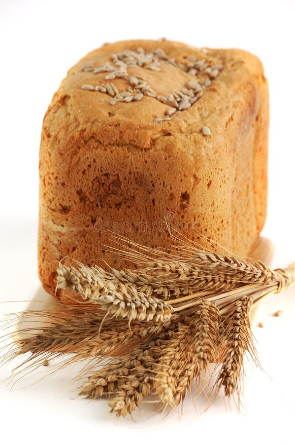 Wheat ear stock photo. Image of growing, harvest, summer - 967246