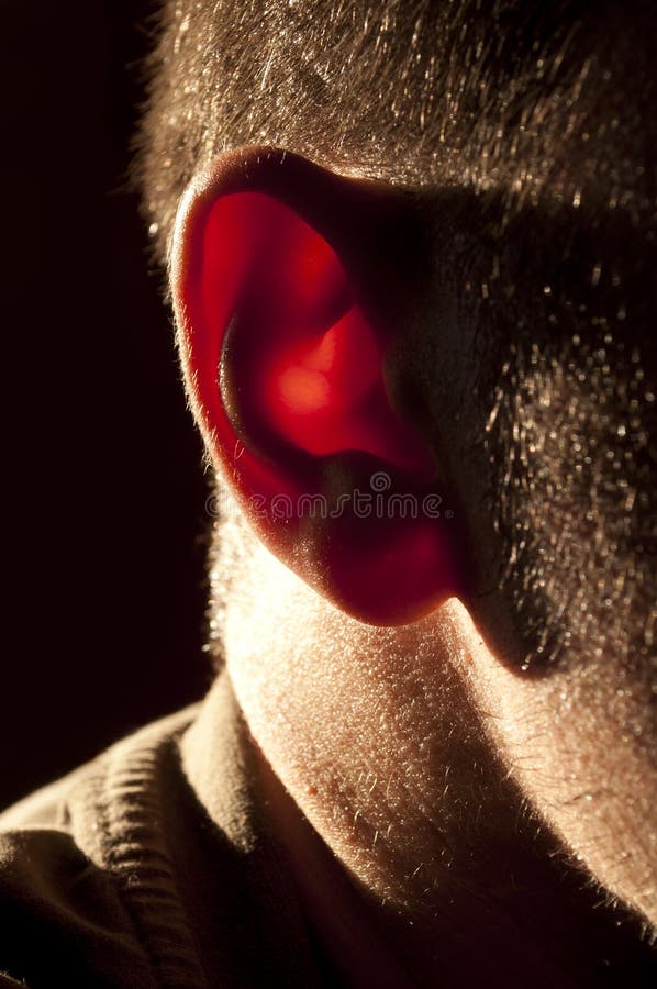 Ear stock photo. Image of ethnicity, shadow, adult, vertical - 53379994