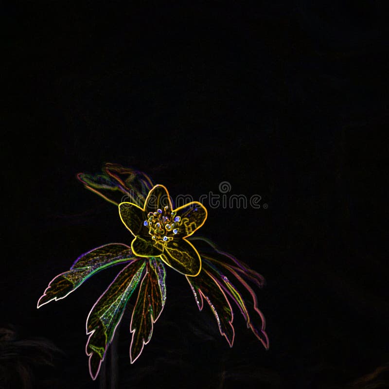 Earl spring stock photo. Image of meadow, earth, park - 315237696