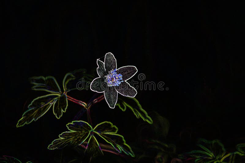 EARL SPRING stock photo. Image of colorful, spring, environment - 315237738