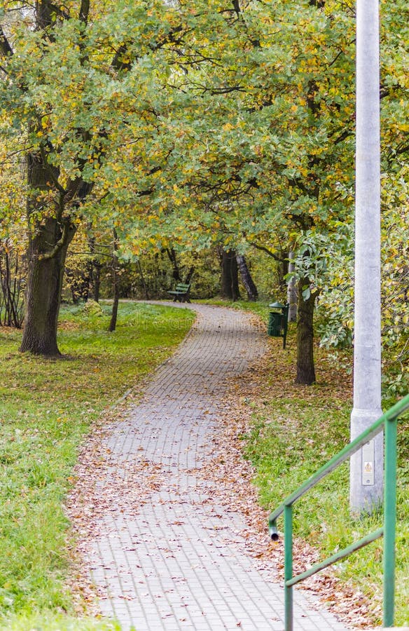Early august park stock image. Image of fall, foliage - 101879043