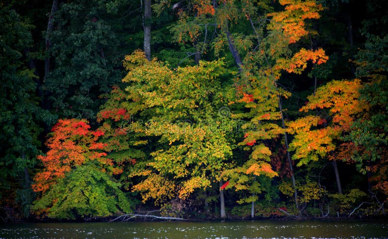 Early autumn stock photo. Image of park, tree, morning - 27141130
