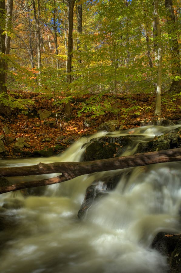 Early Autumn stock photo. Image of harriman, york, logs - 4642646