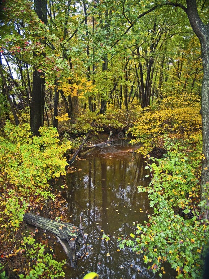 Early Fall Path stock image. Image of seasonal, green, woods - 386183