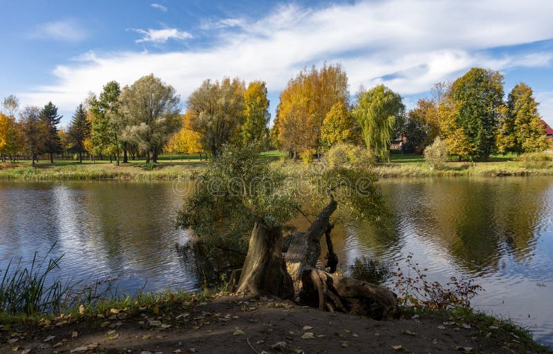 Early Autumn at the Fallen Tree Over the River Stock Image - Image of ...