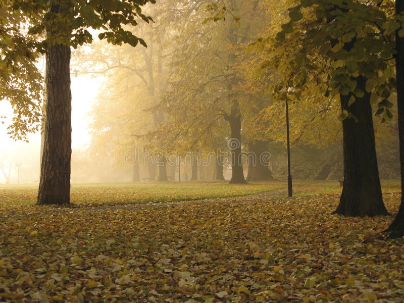 Early autumn foggy morning stock image. Image of path - 5824729