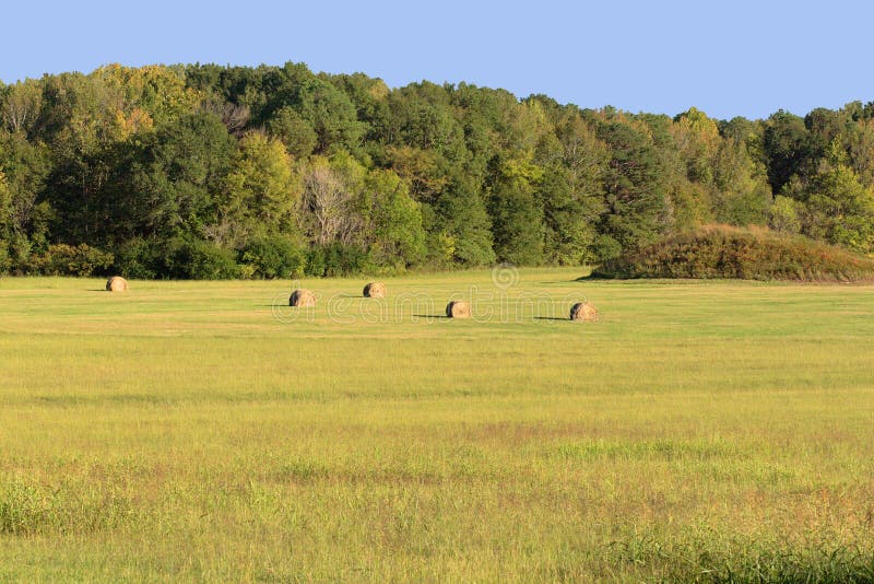 An Early Autumn Hayfield stock image. Image of fodder - 3432965