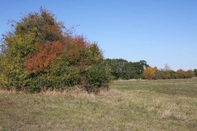 Early Autumn stock photo. Image of falling, colour, cycle - 159442860