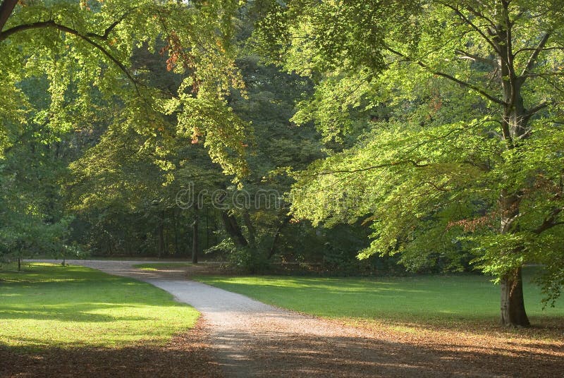Early Autumn Lane stock photo. Image of peaceful, countryside - 21824824