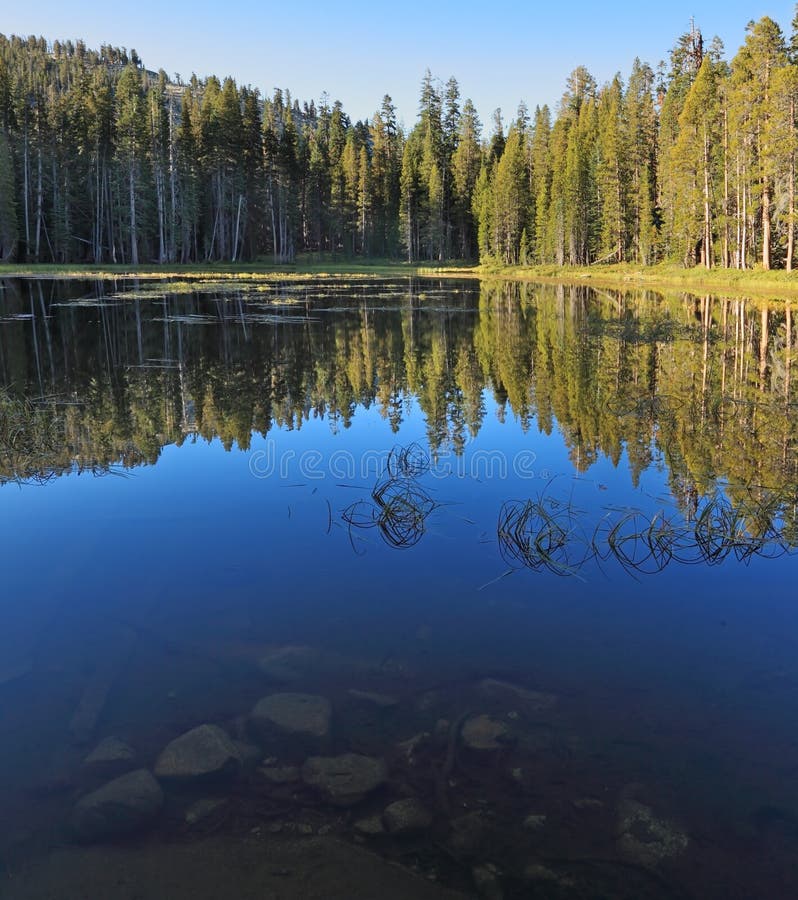 Early autumn morning. stock image. Image of landscape - 14199437