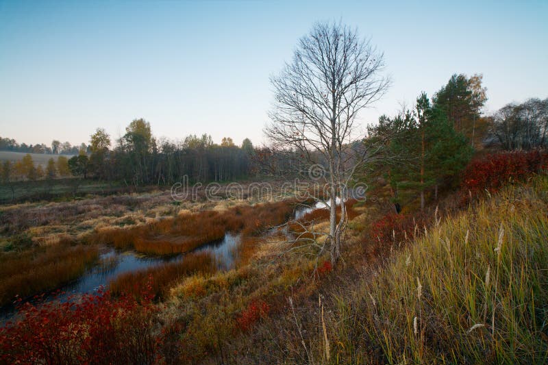 Autumn landscape stock photo. Image of autumn, walking - 50758980