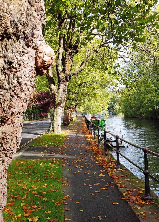 Early Autumn by the River Thames in England Stock Image - Image of ...