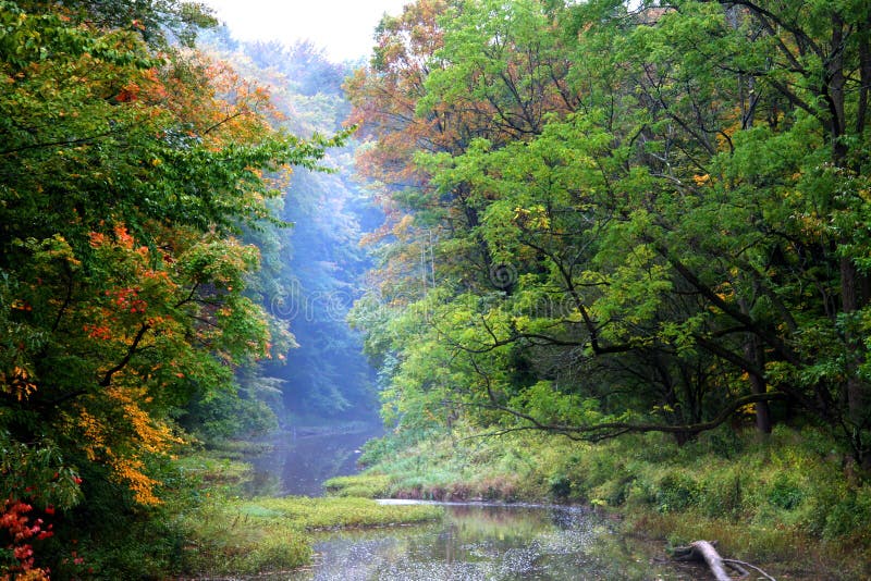Early autumn scene stock photo. Image of wine, morning - 26511556