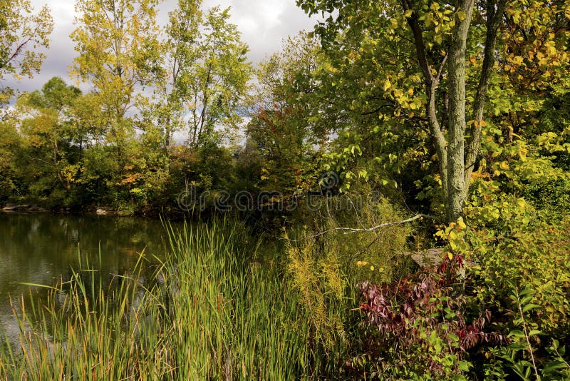 Early Autumn stock photo. Image of scenic, pond, country - 37882224