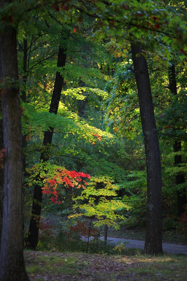 Early autumn time stock image. Image of path, landscape - 27141173