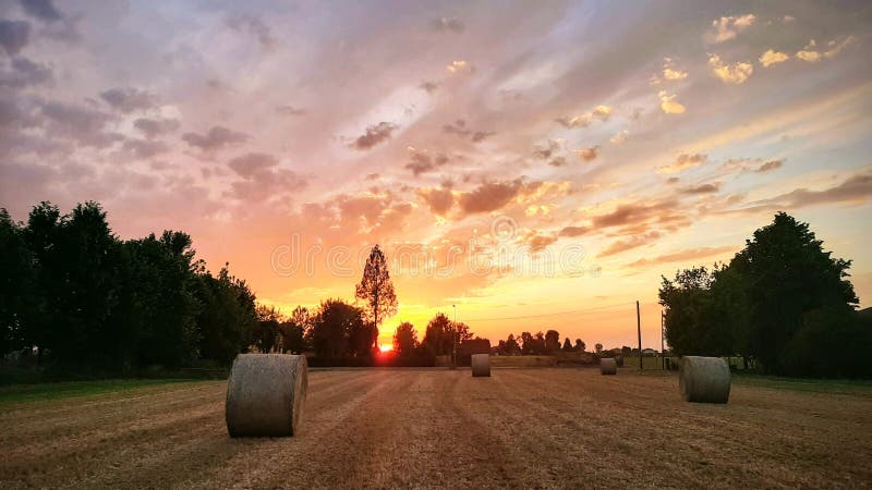 Early beautiful Dawn stock image. Image of field, plain - 238212433
