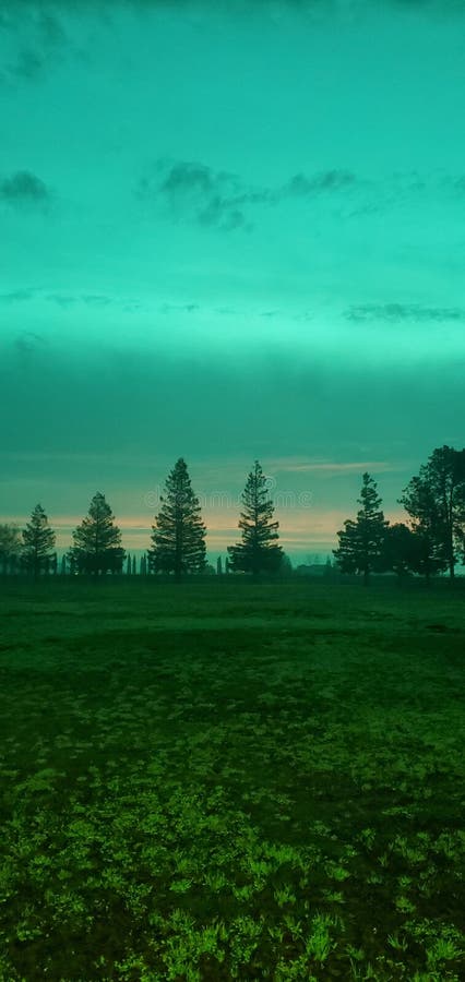 Early bird work stock photo. Image of glass, water, screenshot - 251004432