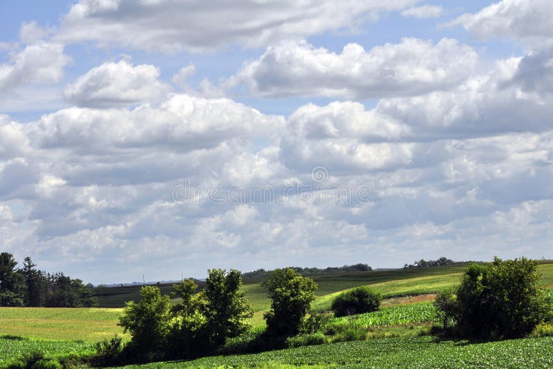 Early Crops stock image. Image of interprise, america - 44611365