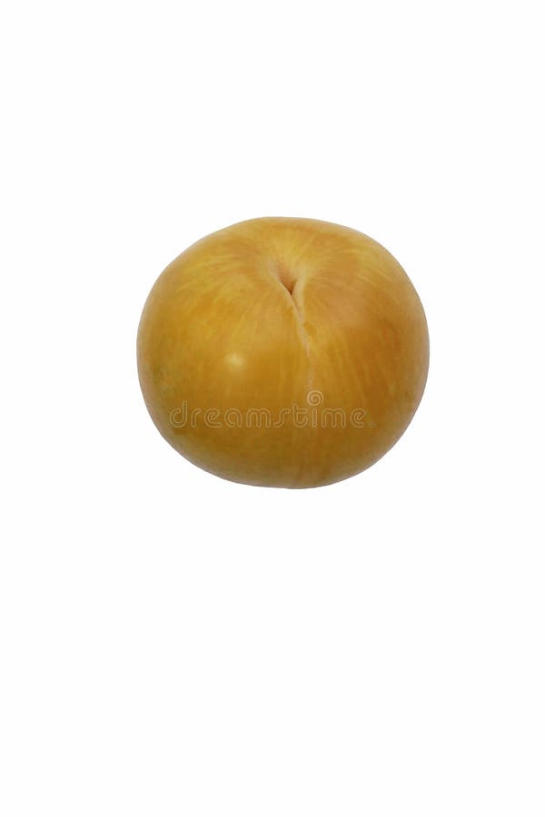 Early Dapple Pluot. Image of Fruit Isolated on White Background Stock ...