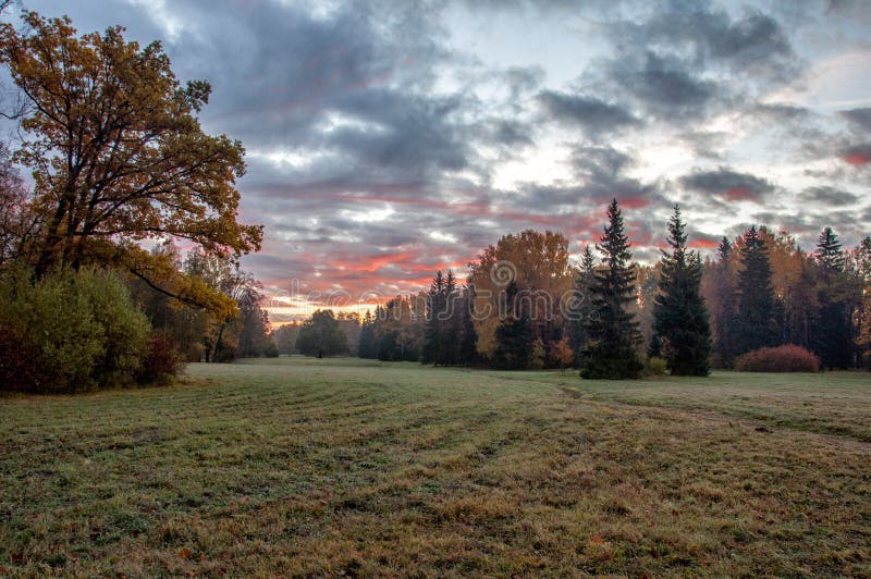 Early dawn stock photo. Image of abstract, path, park - 66580926