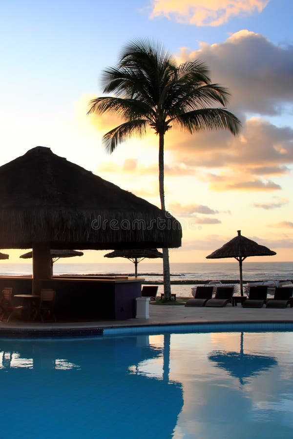 Early Day at Swimming Pool in Bahia - Brazil. Stock Photo - Image of ...