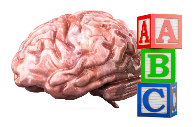 Early Development Concept. Brain with ABC Wooden Blocks Alphabet ...
