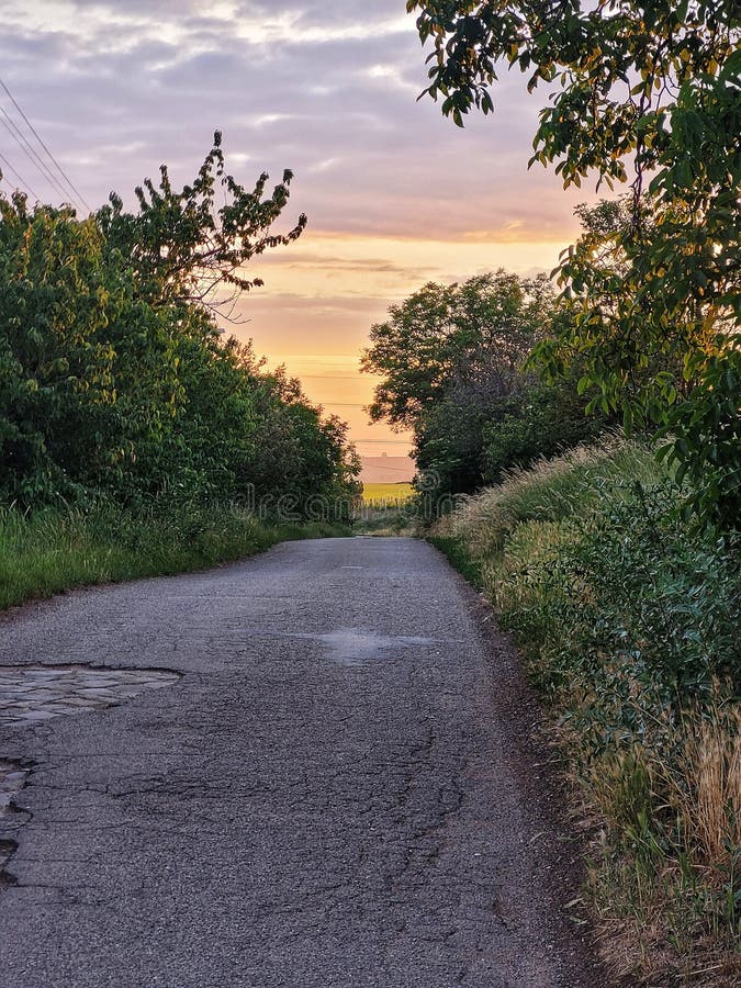 Early evening journey stock image. Image of nature, early - 253154033