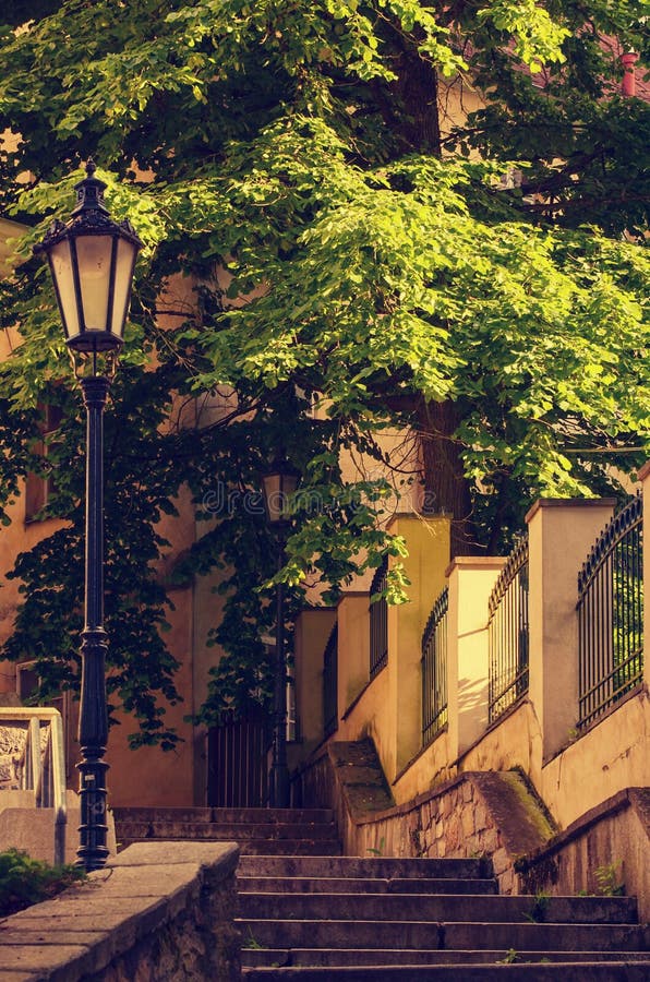 Early Evening Sun Shimmering on Calm Water Stock Image - Image of early ...