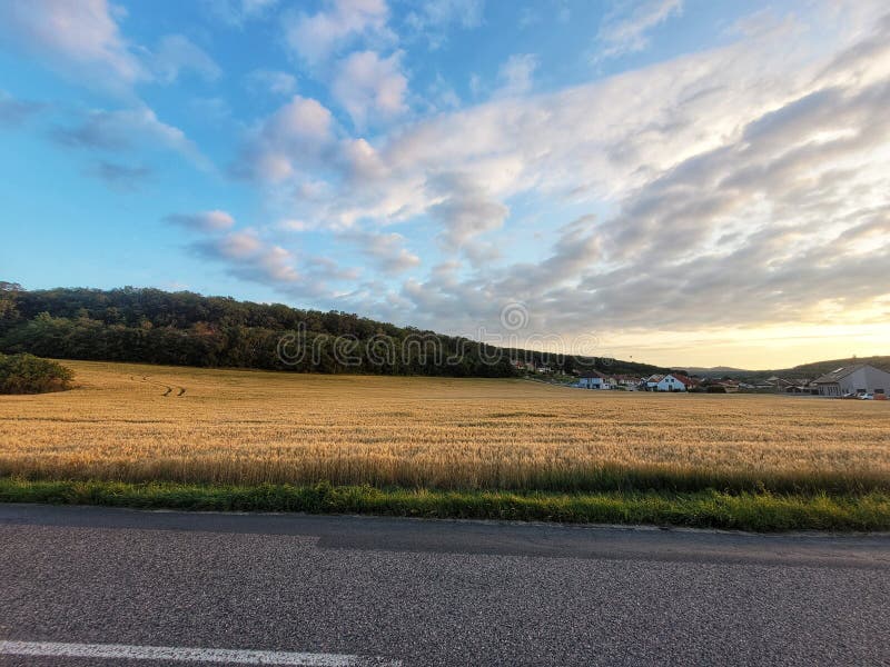 Early evening landscape stock image. Image of sunlight - 250853175