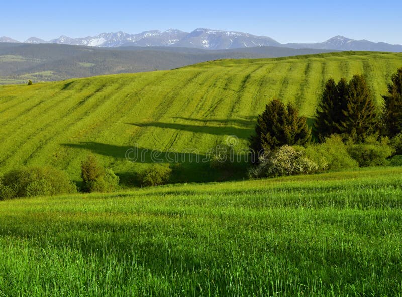 Early Evening Submontane Scenery Stock Image - Image of countryside ...
