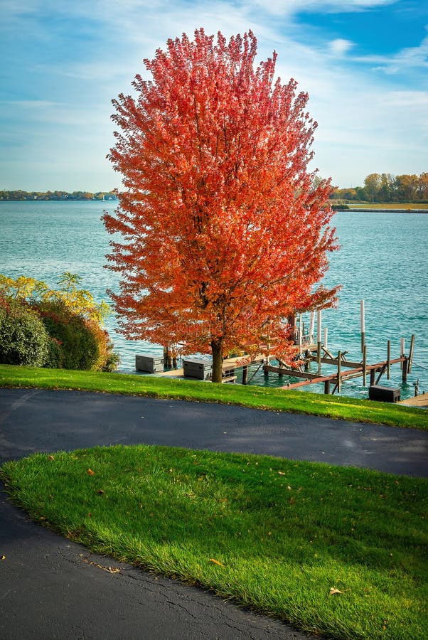 Early Fall Colors on Overlook Deck River View Stock Photo - Image of ...