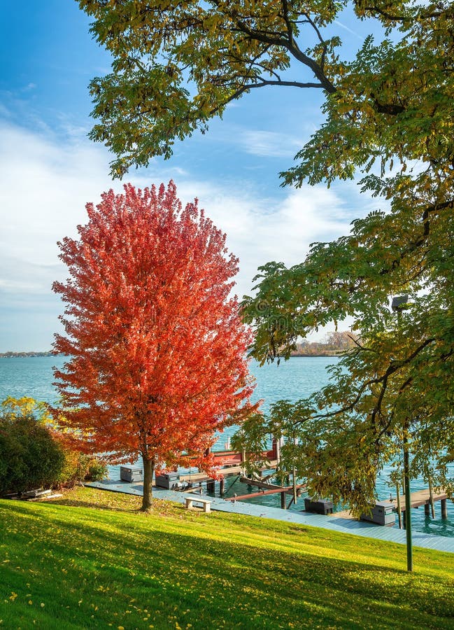 Early Fall Colors on Overlook Deck River View Stock Image - Image of ...