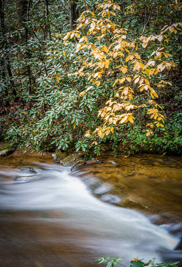 Early Fall Colors Surround Gentle Flowing Stream in Autumn Stock Photo ...