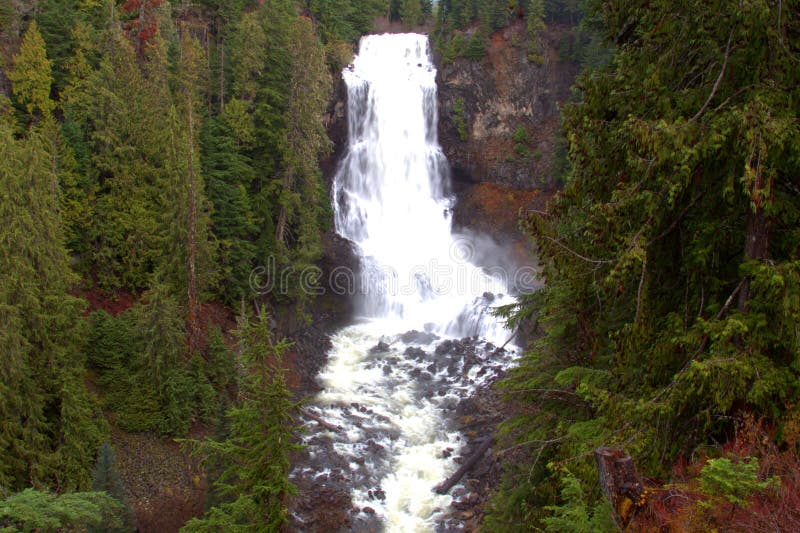 Streaming Flow of a Water Fall Stock Photo - Image of environment, moss ...