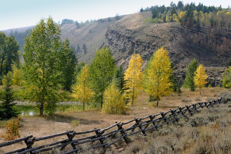 Early Fall Colors on the Trees in Jackson Hole. Stock Photo - Image of ...
