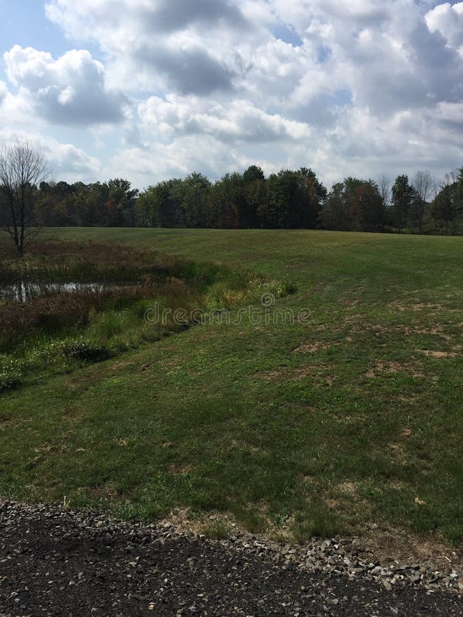 Early fall field stock image. Image of cutie, hiding - 86037735